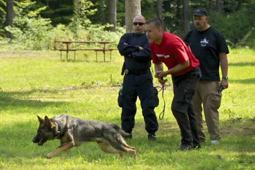 Training - Excel K9