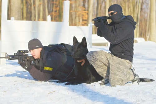 Advanced Training - Excel K9