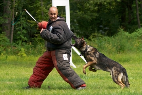 Training - Excel K9