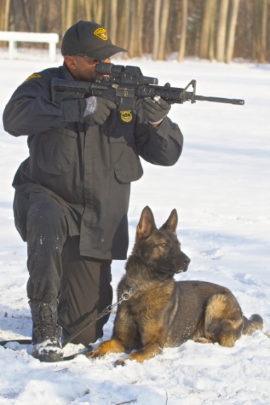 Advanced Training - Excel K9