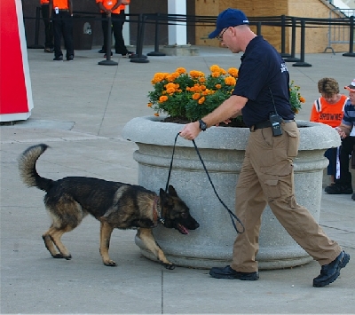 Explosives Detection - Excel K9