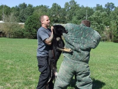 K-9 Handler Selection - Excel K9