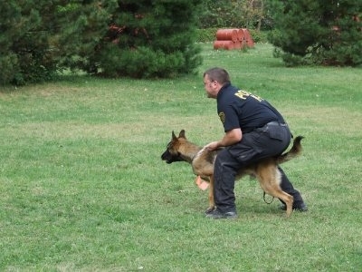 K-9 Handler Selection - Excel K9