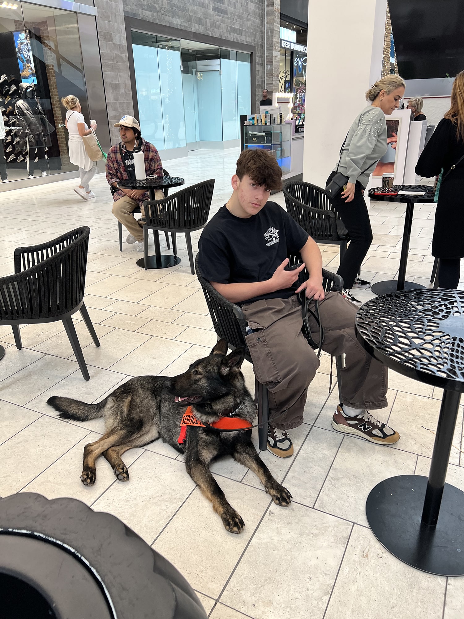 Executive Family Protection Dogs - Excel K9