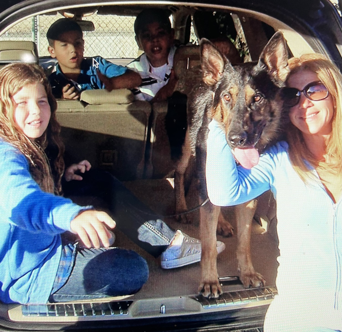 Dog Selection Program - Excel K9